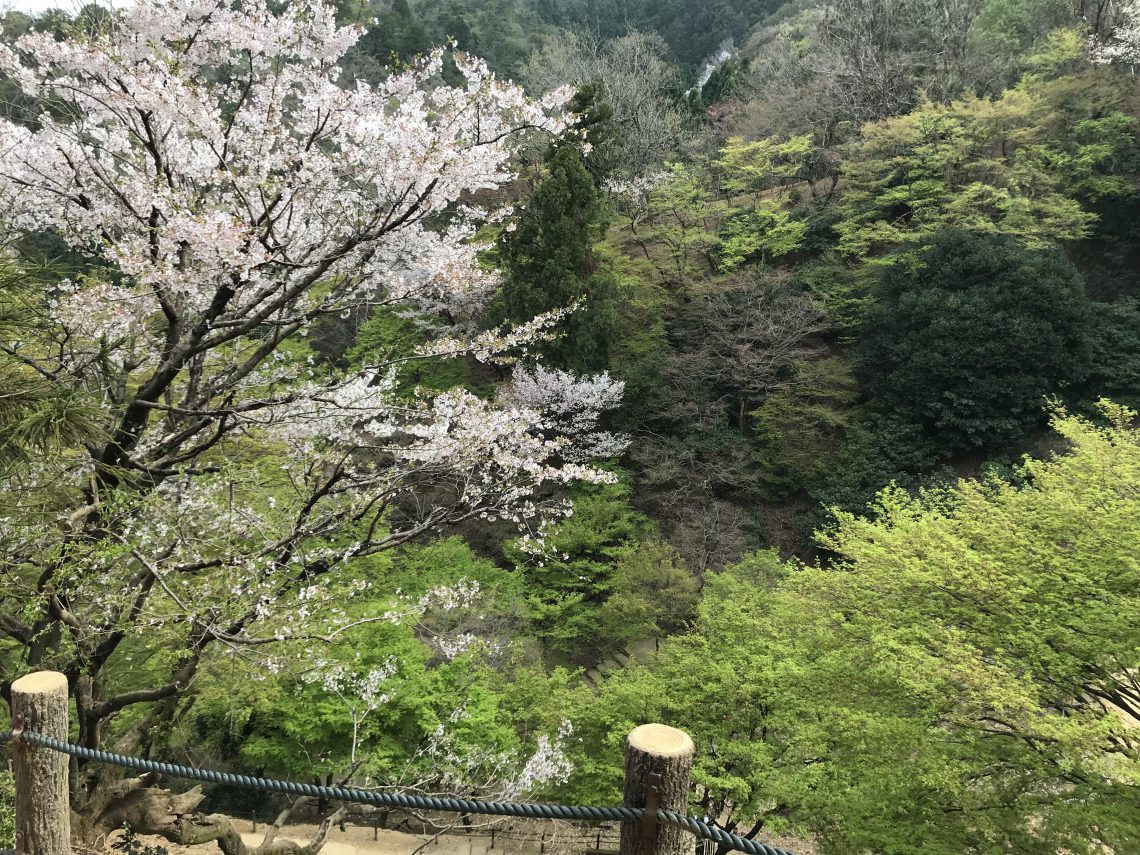 Fun day in Kyoto: Bamboo forest, Ōkōchi Sansō & Monkey Park – Roam If ...